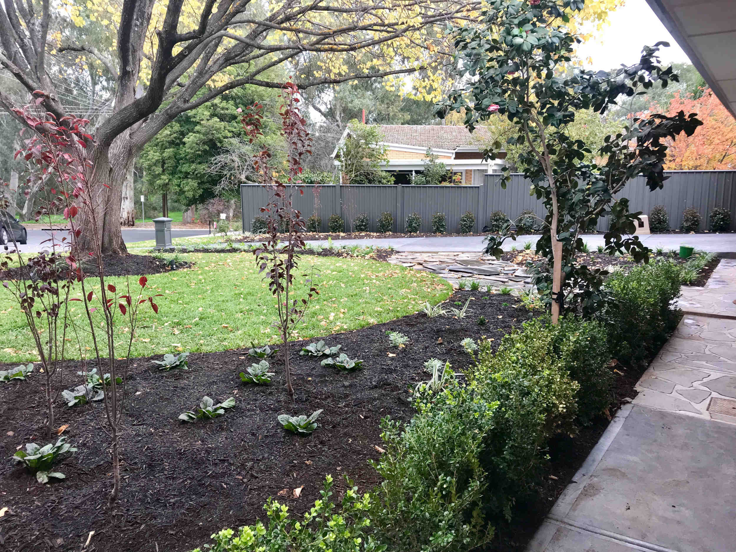 Wattle Park III - Catnik Design