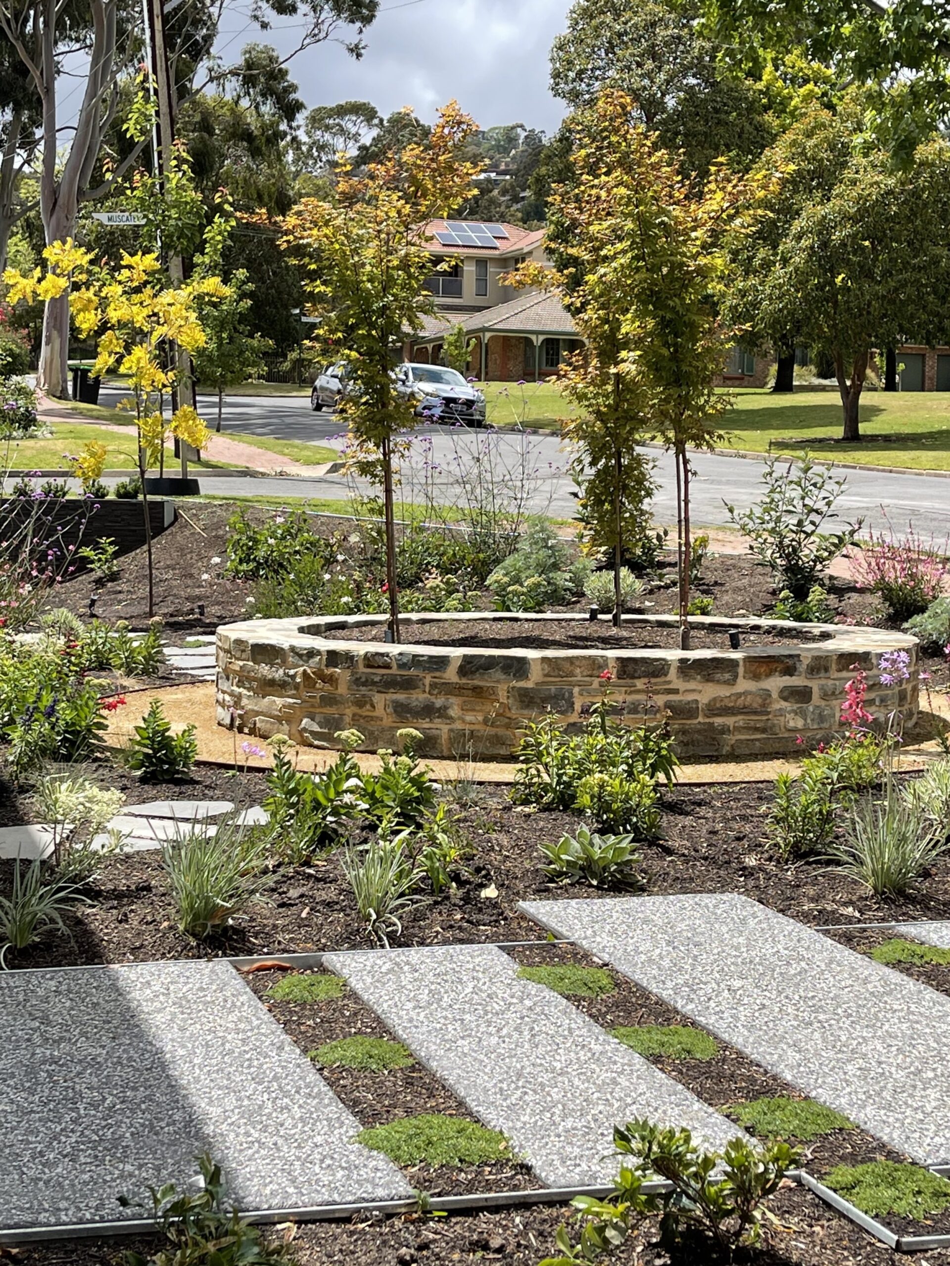 Wattle Park II - Catnik Design