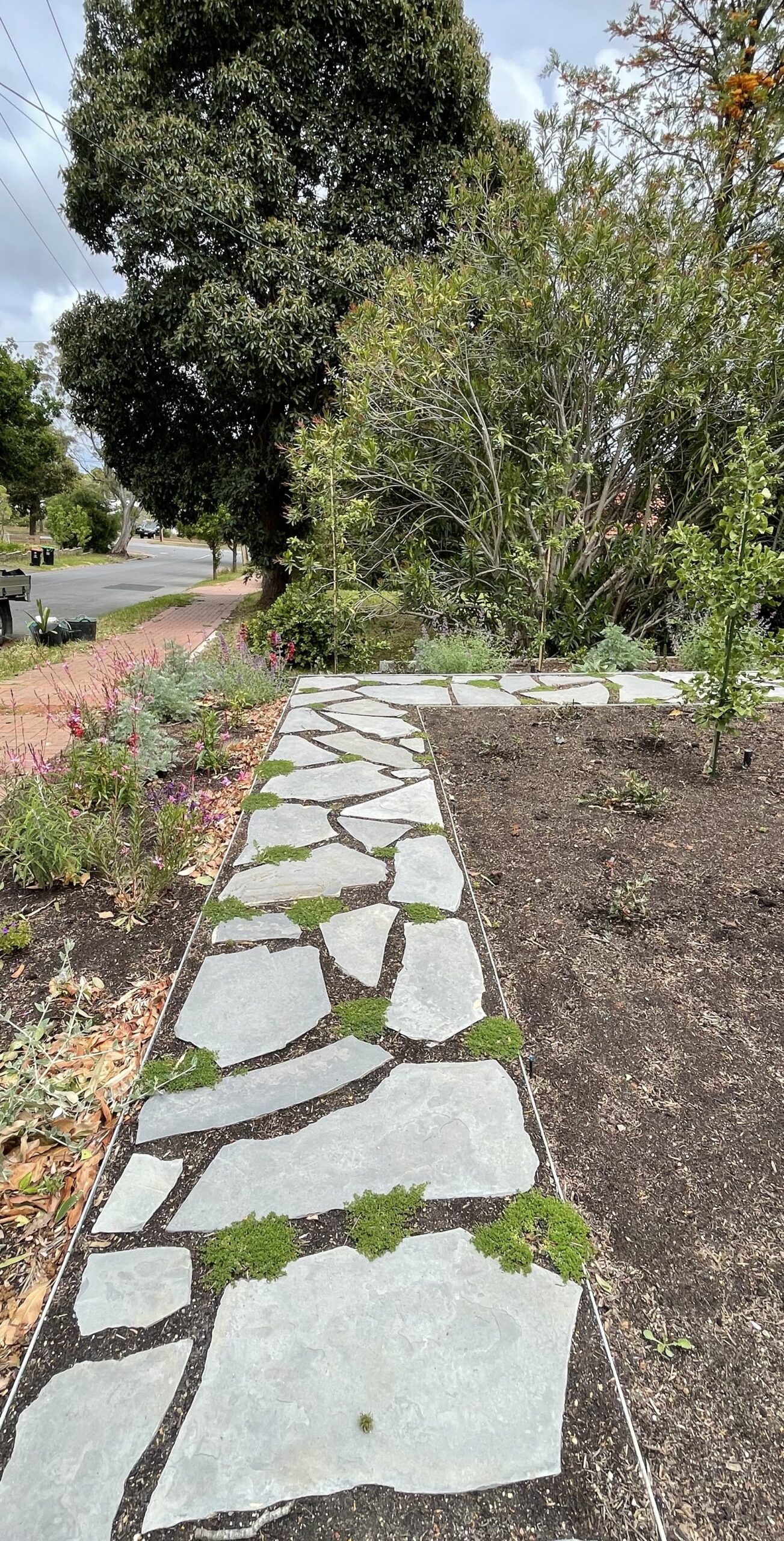 Wattle Park II - Catnik Design