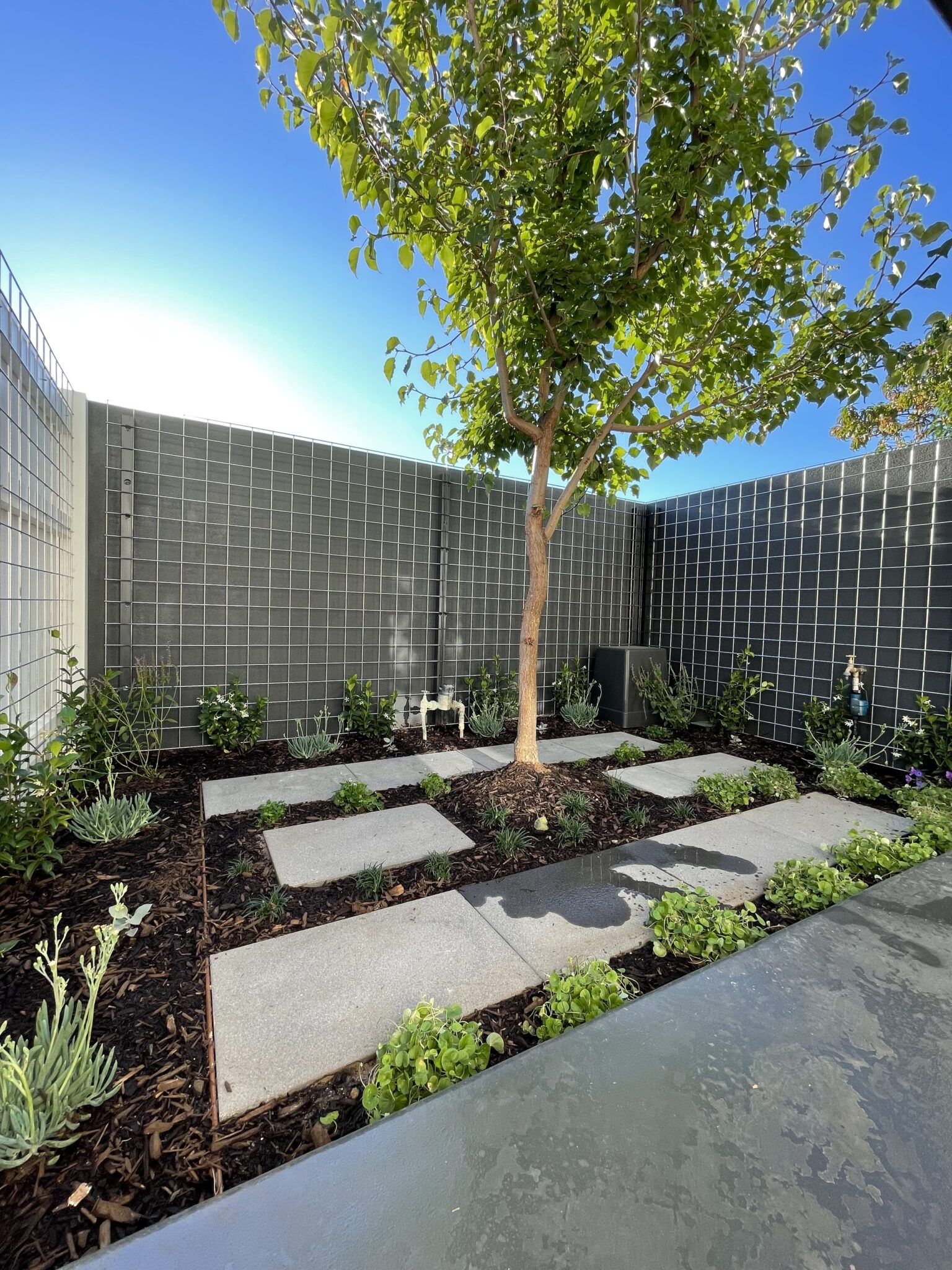 Norwood II - Catnik Design