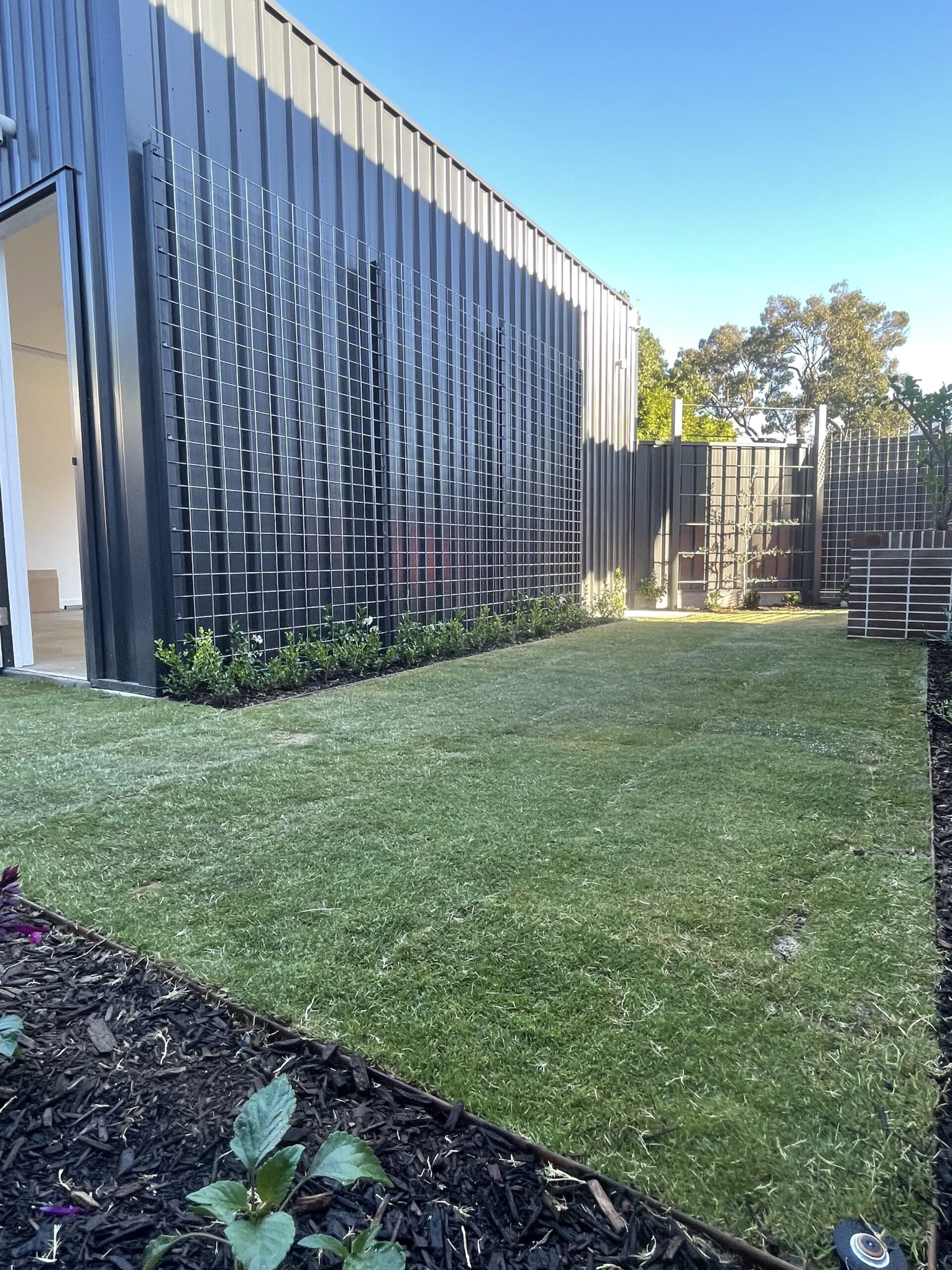 Norwood II - Catnik Design